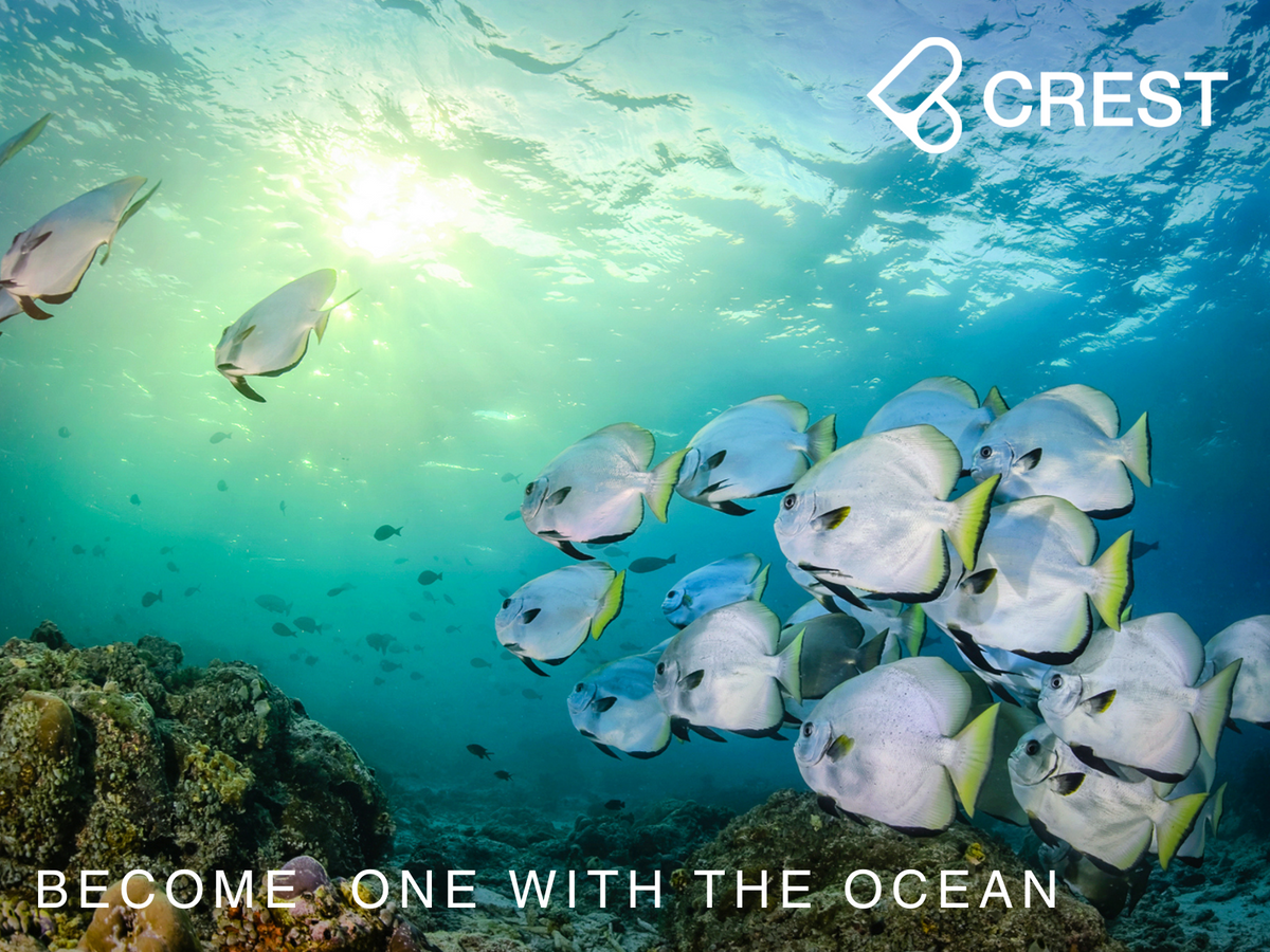 CRESTDiving