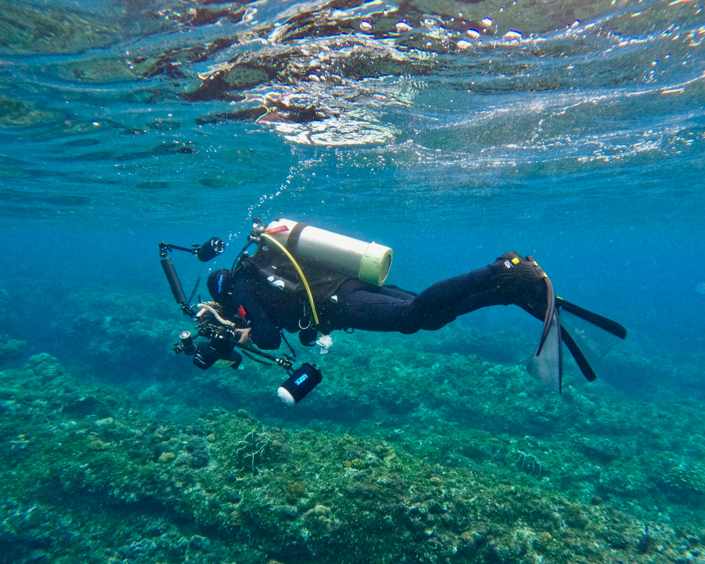 Folding Fins - Transforming Steel Fins