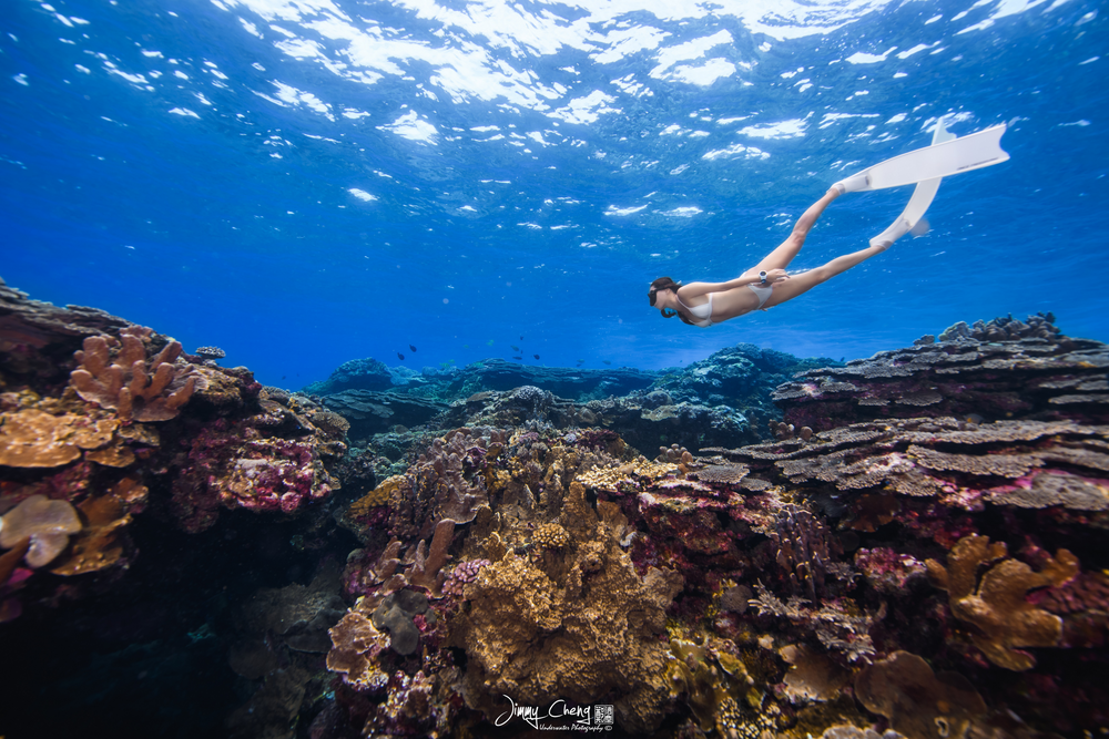 CREST Diving｜Professional brand of Dive Computer