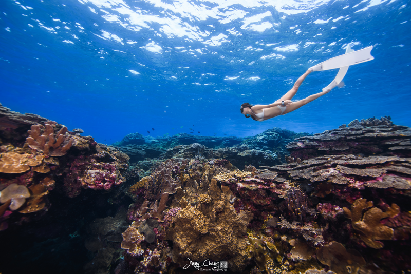 CREST Diving｜Professional brand of Dive Computer