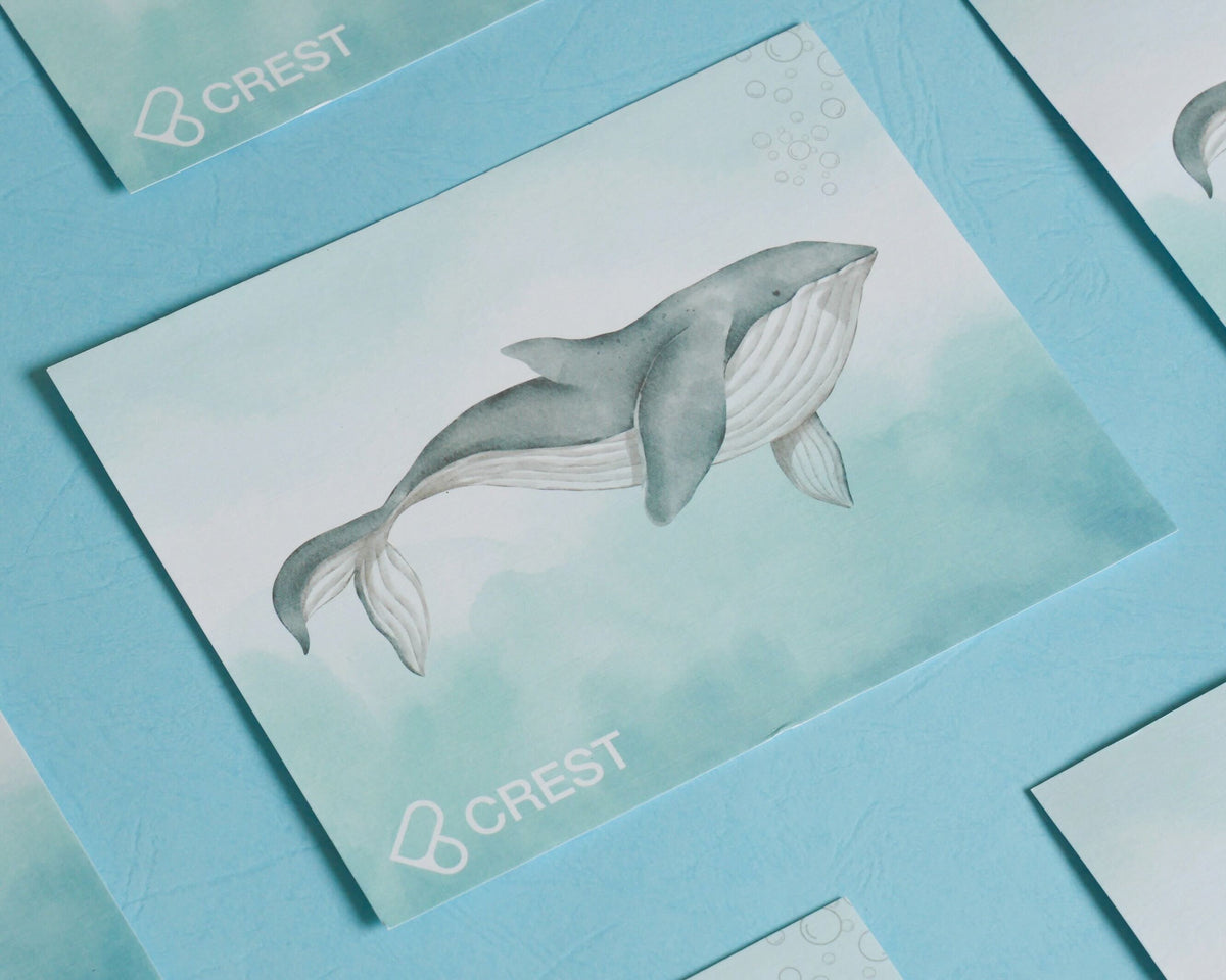CREST Postcard: Watery Journal Series - Humpback Whale