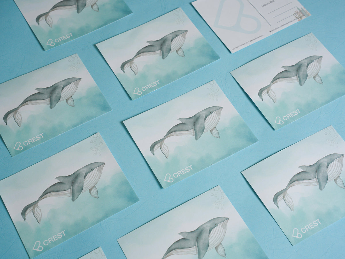 CREST Postcard: Watery Journal Series - Humpback Whale