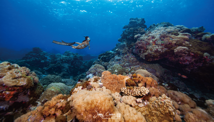 ｜CREST 品牌大使｜探索無限，啟發靈感。